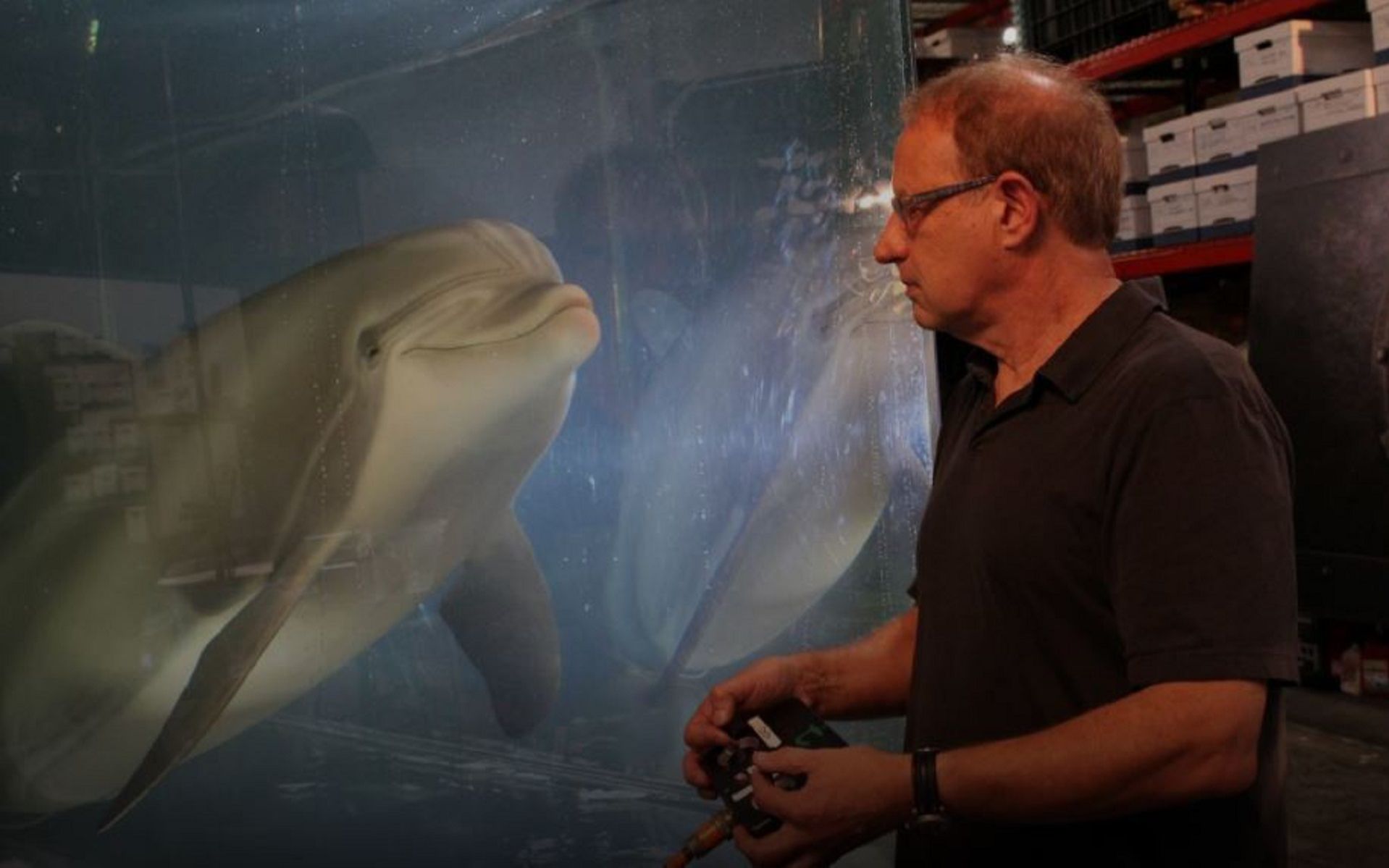 超逼真“机械海豚”最新画面曝光,有望取代海洋馆活体海豚【中字】