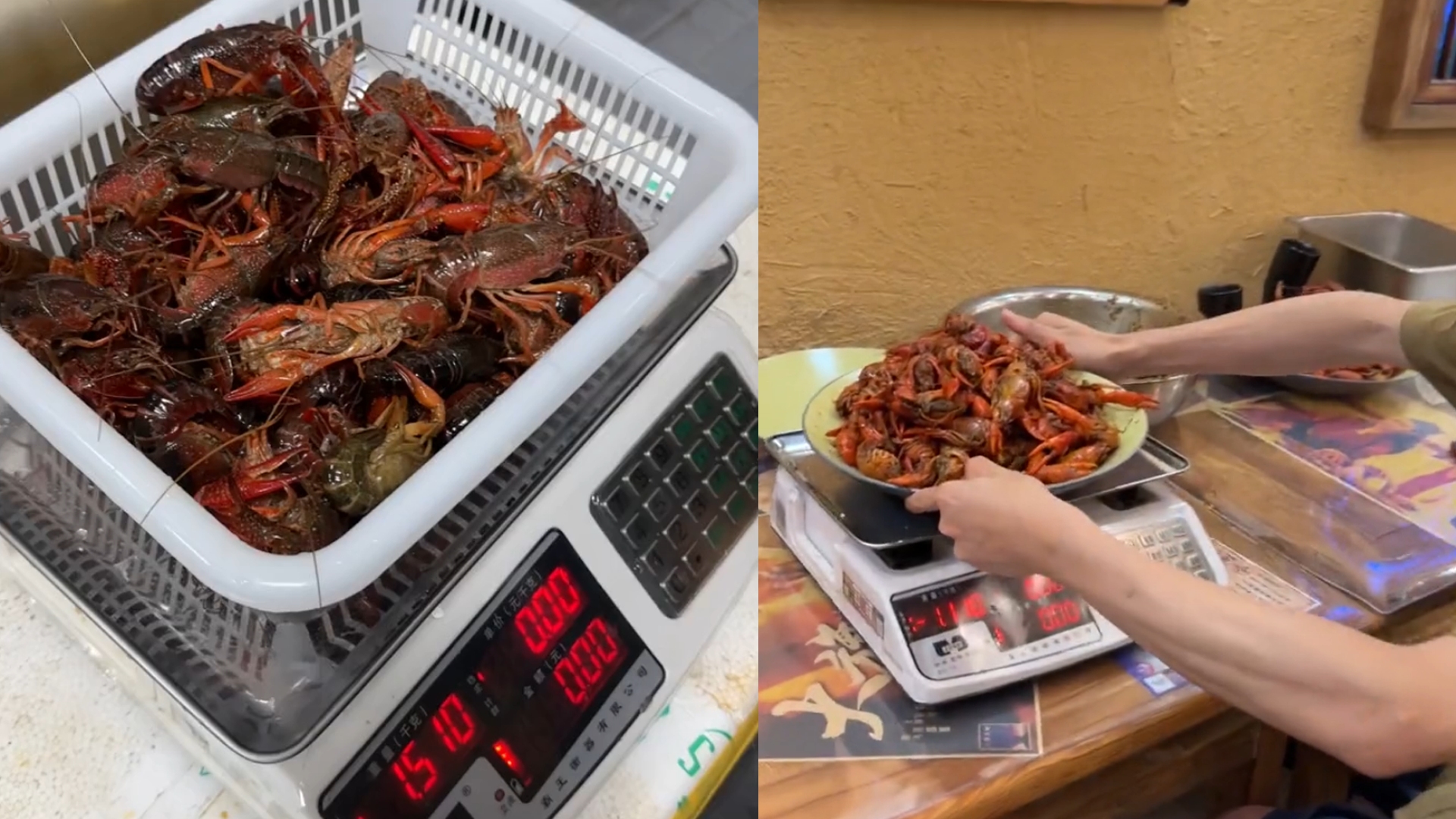 外卖6斤龙虾到手4斤!博主不服买6斤活虾让厨师烧,测评结果打脸