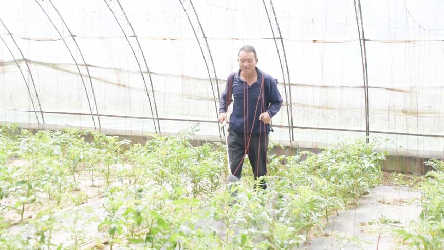 “洗衣粉”的正确用法,这些农药同放一起会失效,农民要注意