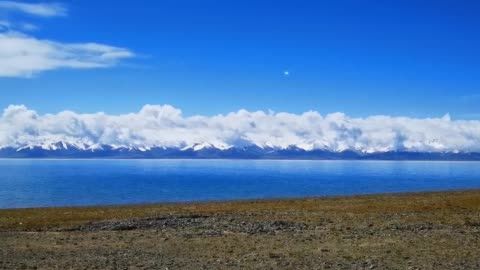 世界环境日短视频丨这世界的美好,需要你!