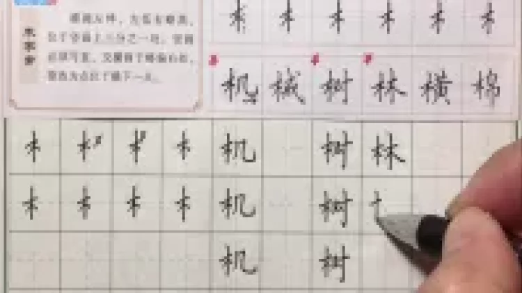 硬笔书法教学:木字旁写法讲解,想学书法没技巧?在这你都能学到