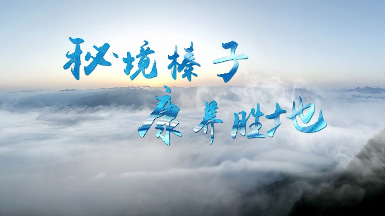 乡村振兴规划篇