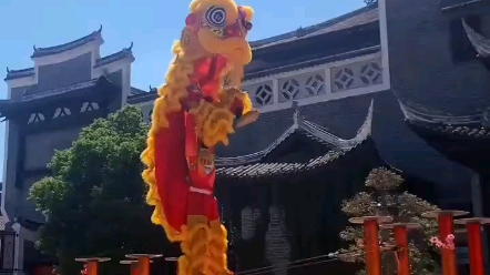 国庆节 高难度大型梅花桩舞狮表演 竟然跳到两米之外的柱子上?