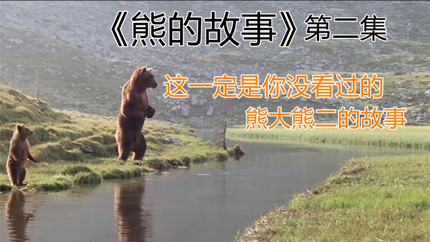 这可不是你在动画片里看到的熊大熊二,为了生存面对它们的是什么