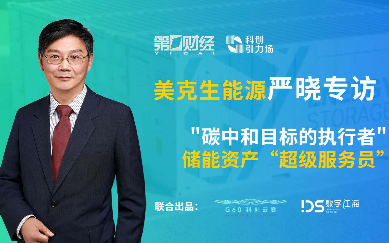 ...人&首席科学家严晓:储能资产的“超级服务员”,碳中和目标的执行者