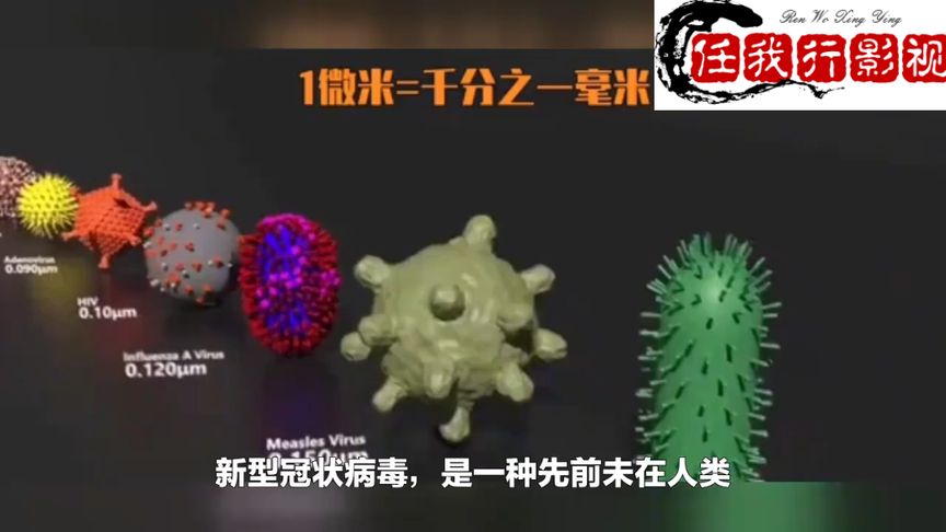 新冠病毒的发展史、危害性及防疫措施