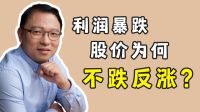 利润暴跌, 比亚迪股价为何不跌反涨?