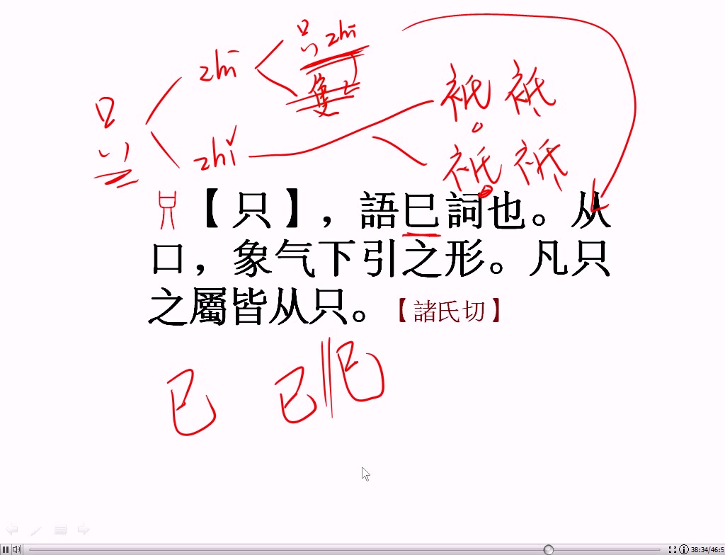 【国学新知】葛亮精读《说文解字》之“只”(第95期)