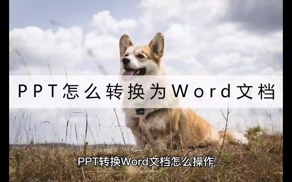 PPT怎么转换成Word文档?看看这个方法你就懂了