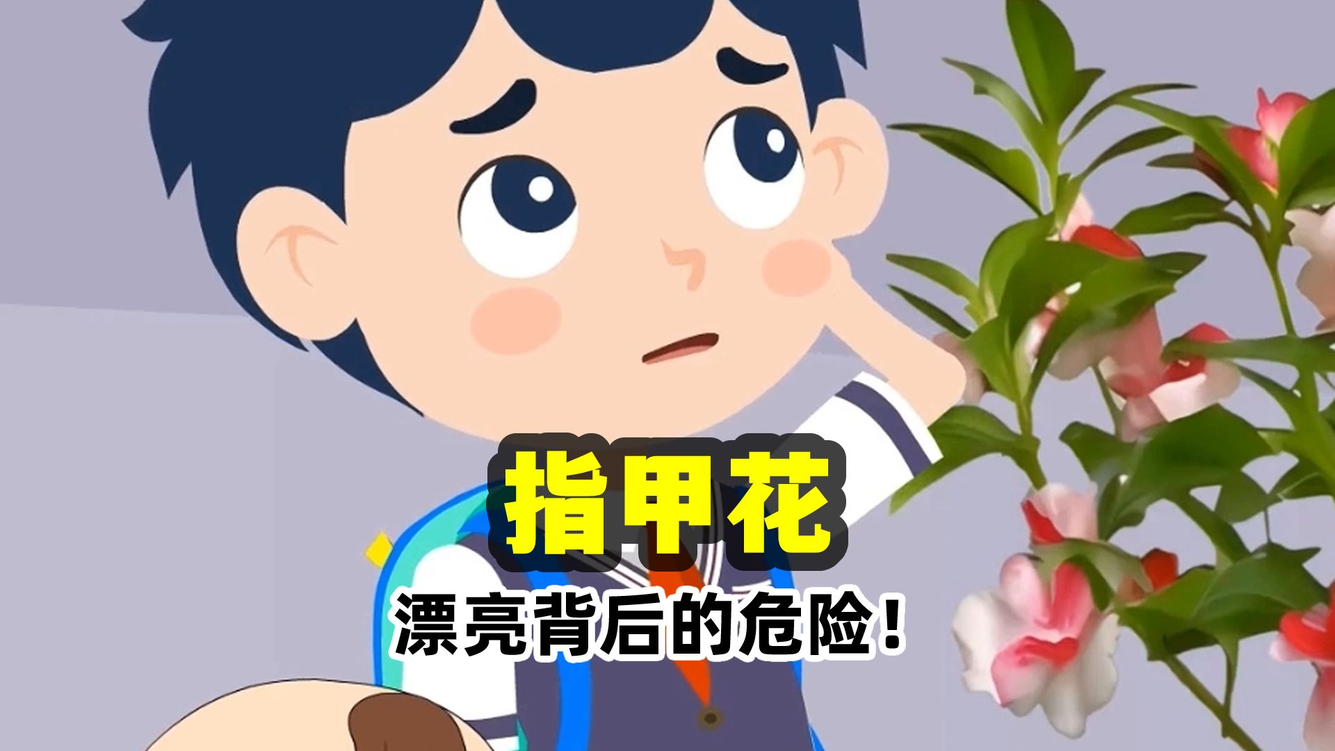 你不知道的指甲花!漂亮背后的危险!
