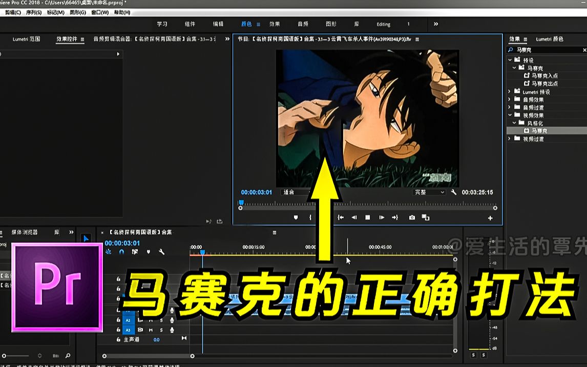 【PR教程】马赛克的正确打法