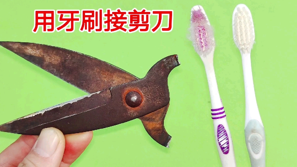 剪刀手柄齐根断裂怎么办?教你一招,用2个牙刷接上,立马就能用