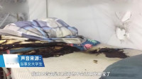 罗马仕充电宝自燃,女大学生熟睡,被活活烫醒!