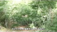 韶关市新丰县打击整治非法开采稀土专项行动纪实