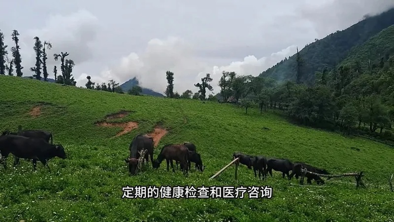 农村一级二级的残疾人,都有哪几项补贴呢又分别能领多少钱呢