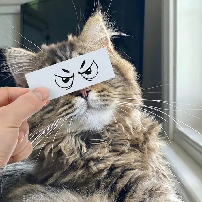 电商创业搬运 