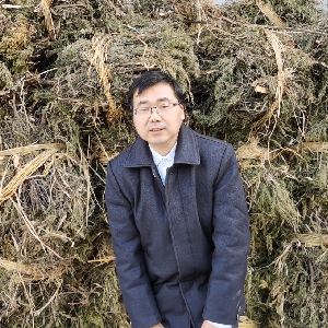朝龙书斋 