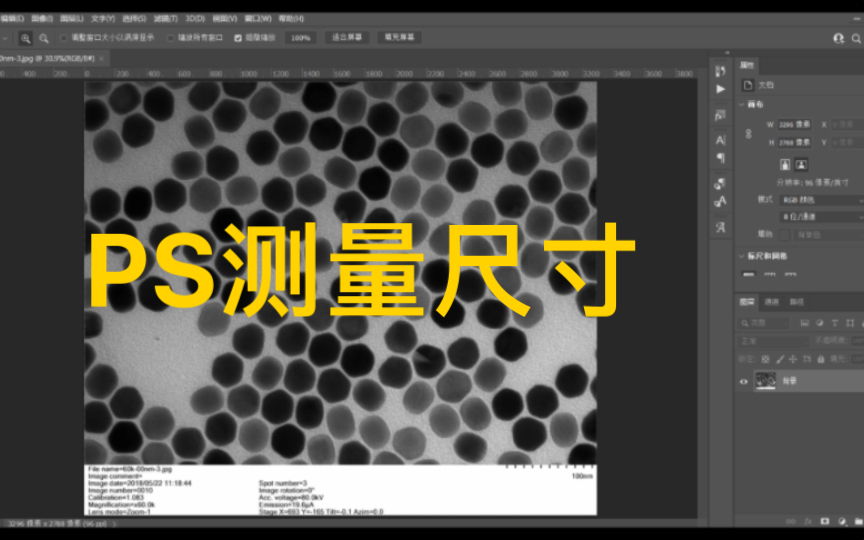 每天一个小技巧_PS测量颗粒尺寸/SEM/TEM/AFM