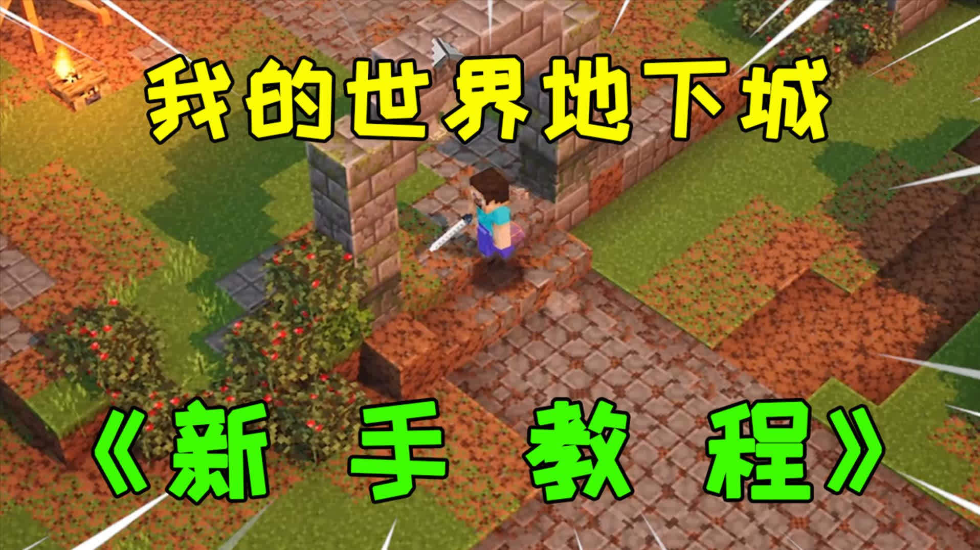 我的世界地下城攻略:小振的超超超级详细的新手