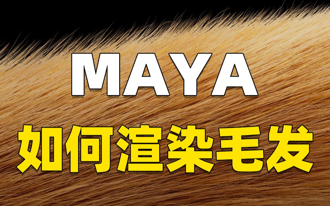 【MAYA教程】Maya如何渲染真实毛发效果?MAYA干货教程 新手向! ...