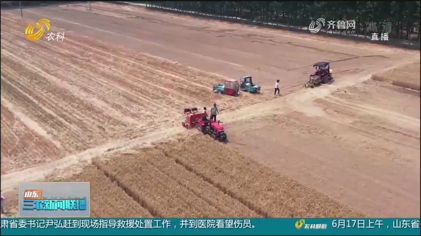 玉米不减产、花生保增收,高唐“花生玉米间作”种植助力农民增收