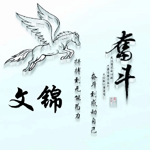 文锦爸爸 