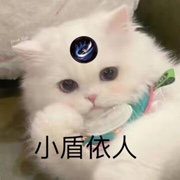 Gloria_shoky 