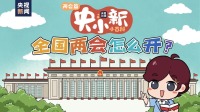 聚焦2023年全国两会 央小新小百科·两会:全国两会怎么开?