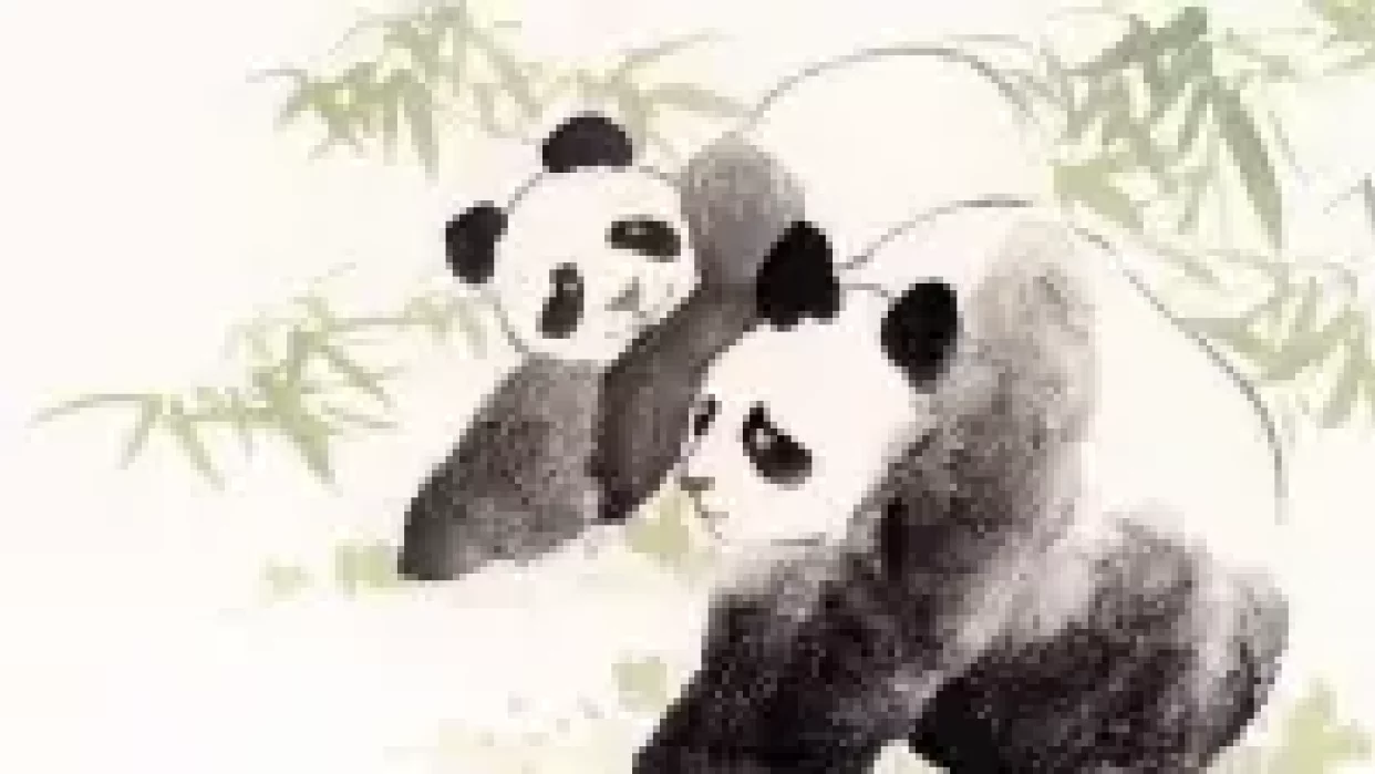 原来国画里熊猫这么简单, 5个步骤手把手教你学画一只可爱的大熊猫