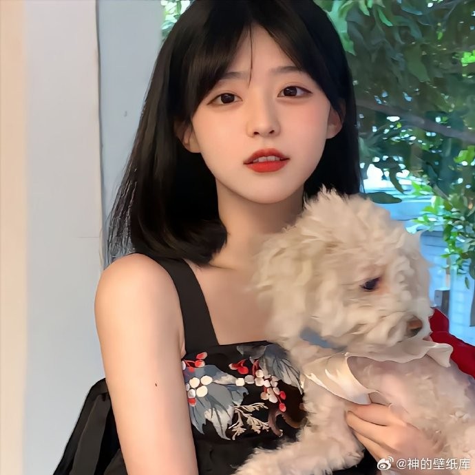 火影忍者动画全集 