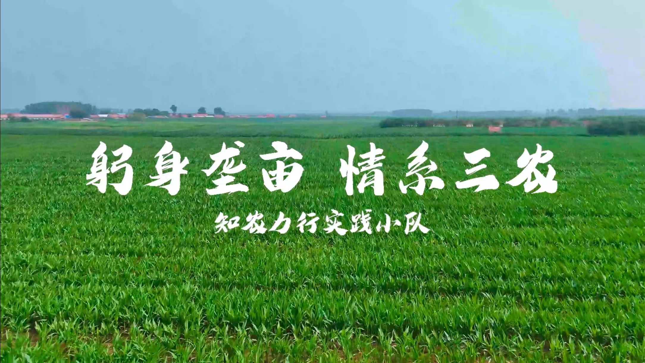 【社会实践】中国农业大学知农力行小队2024年暑期社会实践宣传...