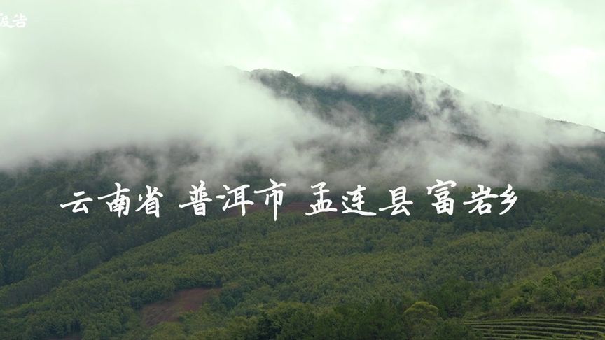 想知道中国云南精品咖啡大赛的冠军豆生长在哪里?一起看看吧