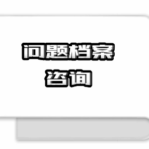 档案问题咨询 