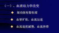 病理学:炎症(中山大学)_标清