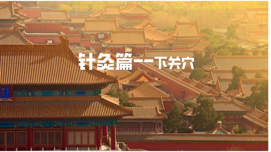 倪海厦--针灸篇85 下关穴