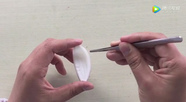 洋葱表皮临时装片