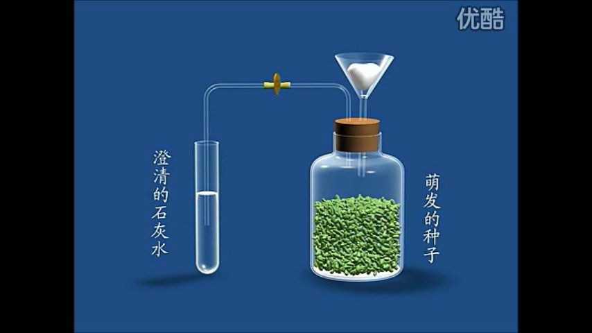 呼吸作用产生二氧化碳