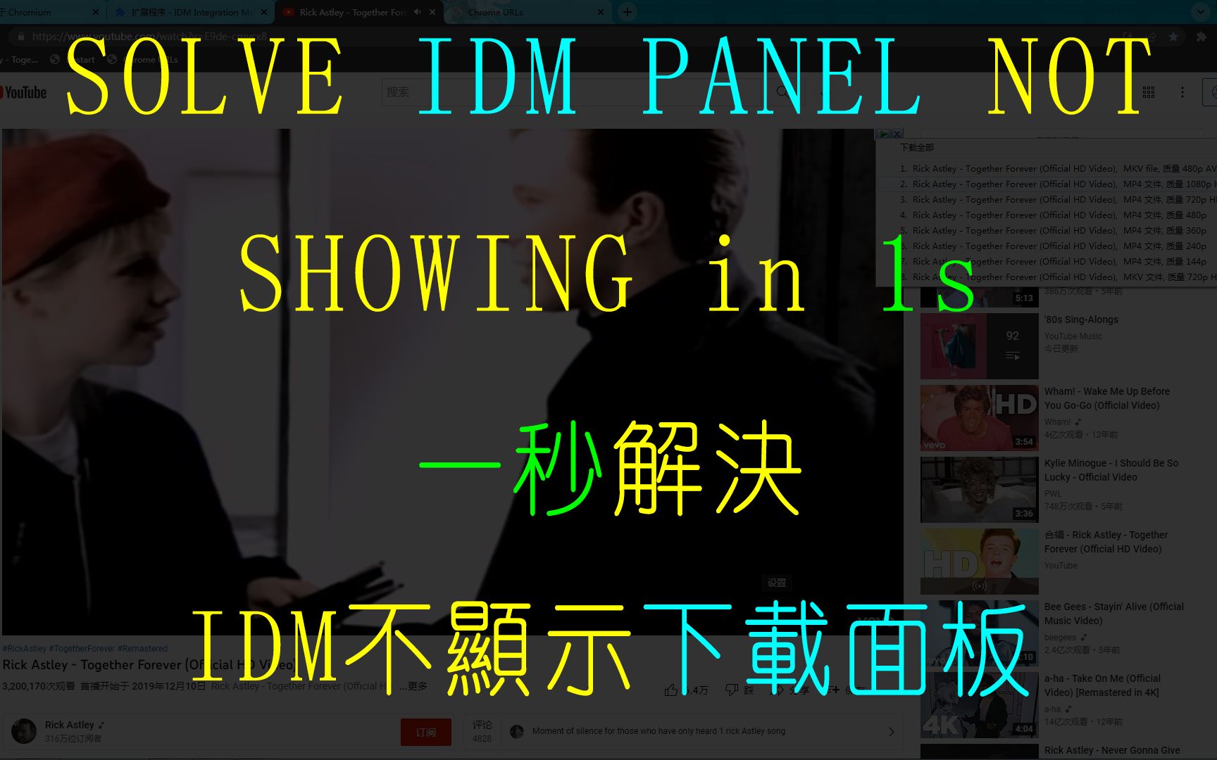【IDM】一秒解决IDM下载面板不显示的问题(solution for IDM ...