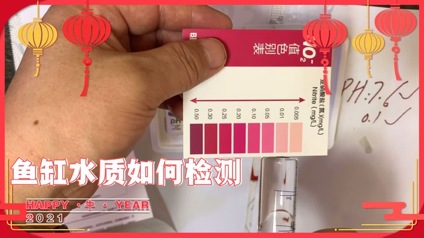 养鱼先养水,教大家如何检测鱼缸水质。