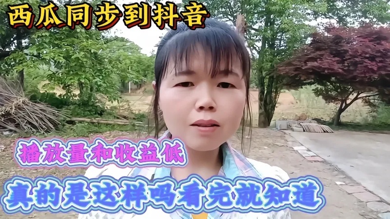 西瓜同步到,播放量和收益就低,真的是这样吗看完就知道