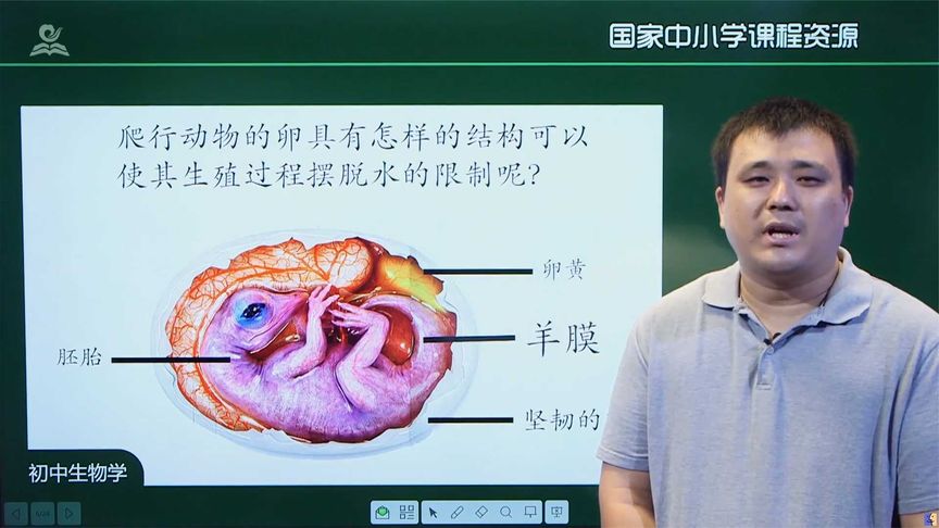 海韵教育丨初中生物 人教版 8上 009.两栖动物和爬行动物 ㈡