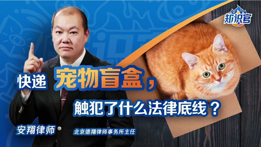 快递宠物盲盒,除了快递规定还有更严重的违法行为