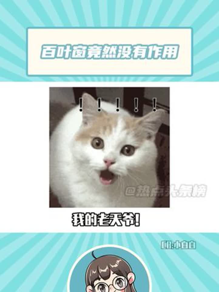 这到底是百叶窗的问题,还是使用方式的问题?隐私