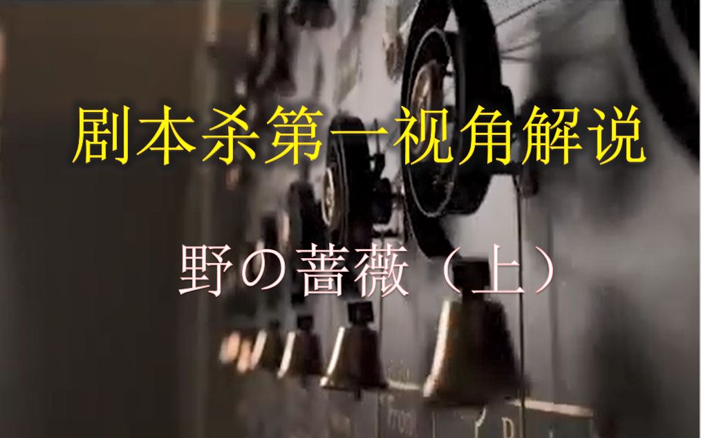 剧本杀第一视角解说 :野蔷薇(上)【剧透!慎入!】