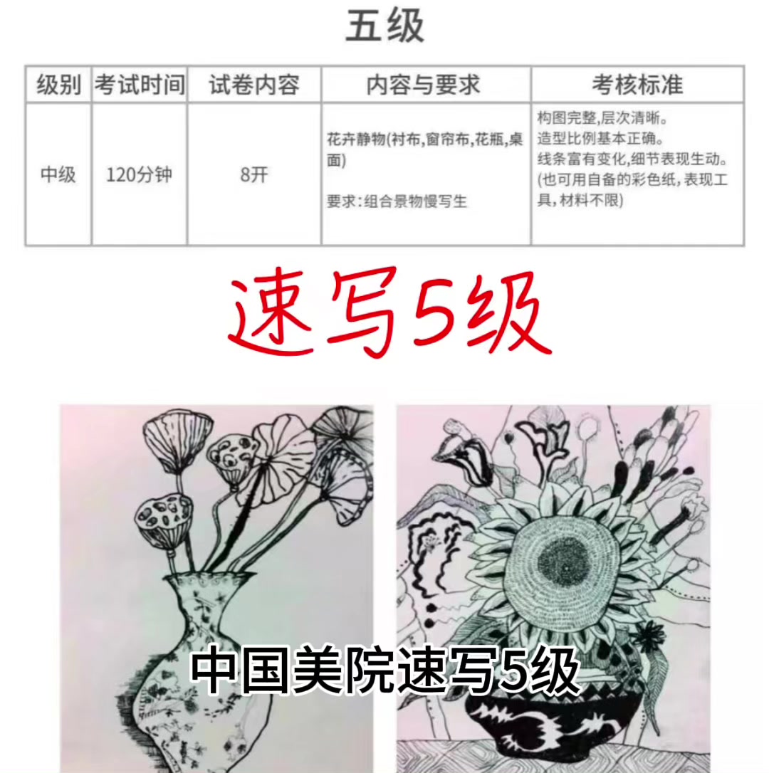 国美考级速写5级 国美考级分10个专业,9个级别。 #中国美院考级 #...