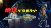 地球生命进化史:从单细胞生命到人类出现,我们的祖先可能是条鱼