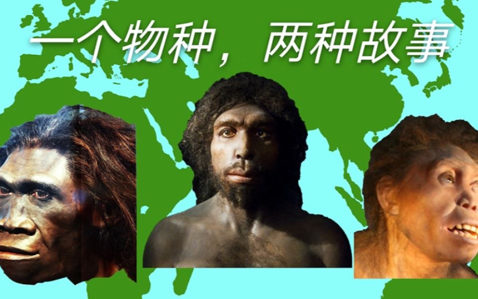 【人类进化史】05:人类演化的两个版本,多地区与单一论之争(上)