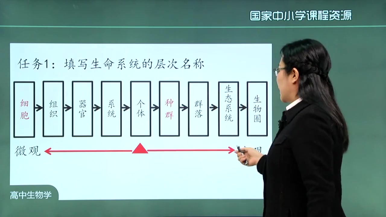 高二生物 选择性必修二(评区附知识点习题课件) 视频合集生物与环境 ...