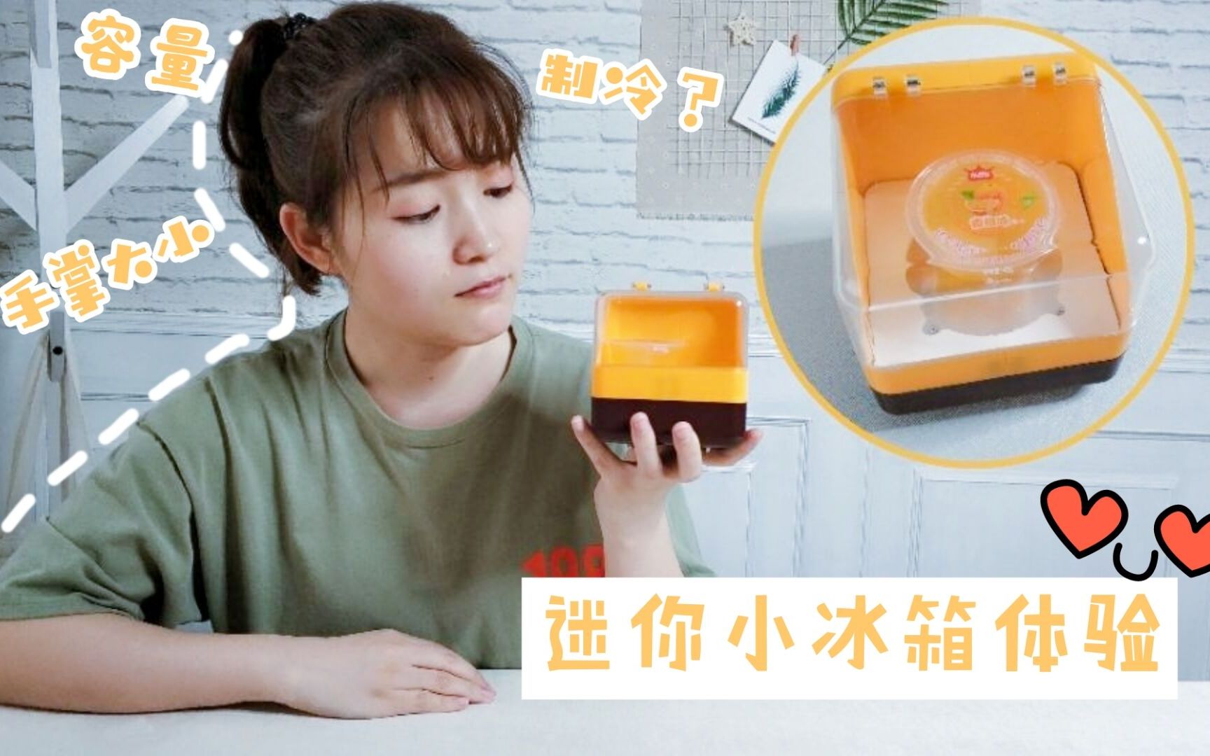 手掌大小的小冰箱,制冷原来是靠它,通电以后就能用,装点啥好呢