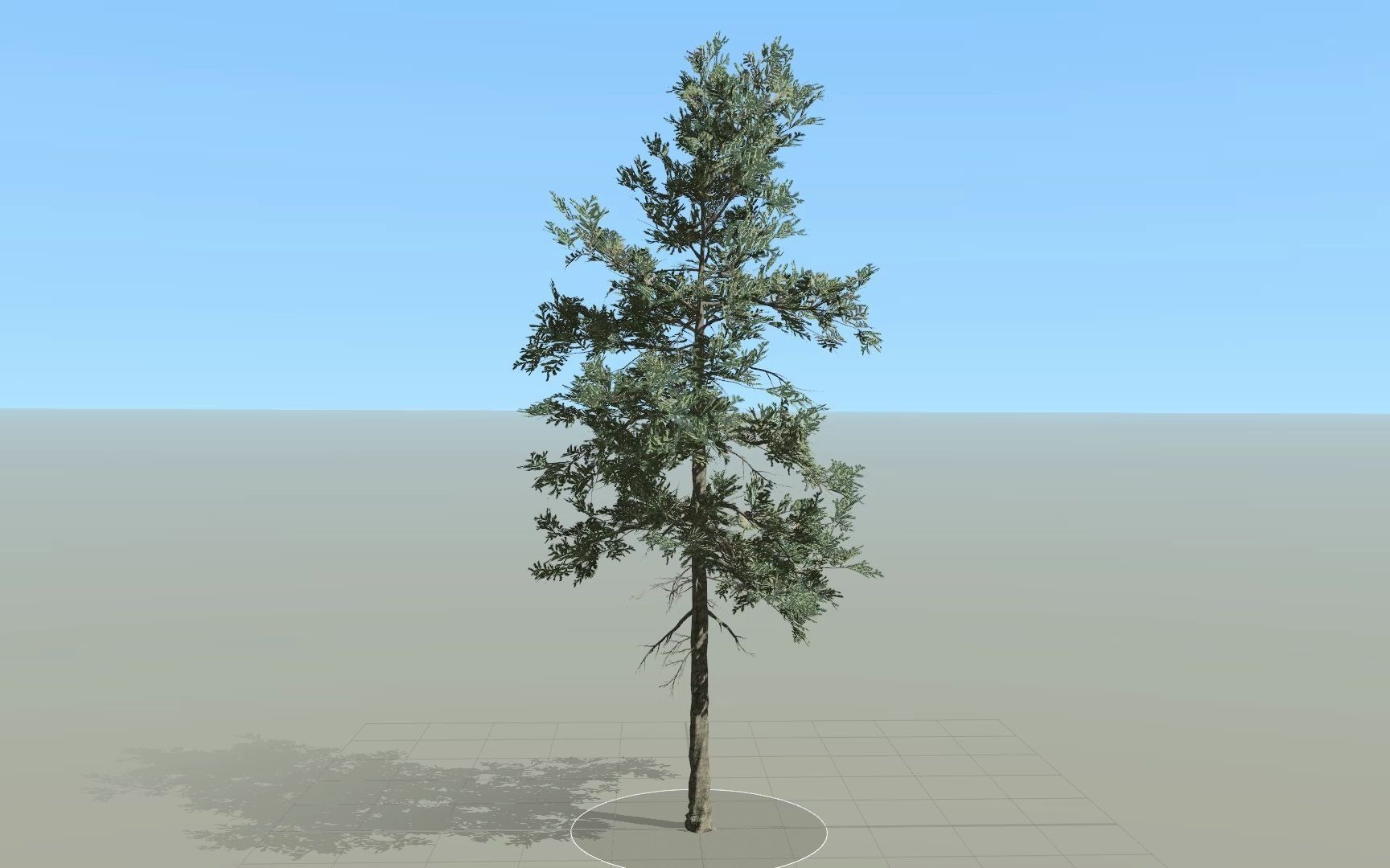 SpeedTree做的树木,只是刚好够用